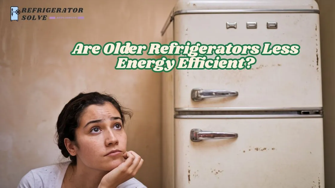 Are Older Refrigerators Less Energy Efficient?